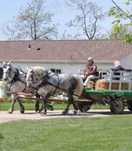 Hay Rides - Events Unlimited