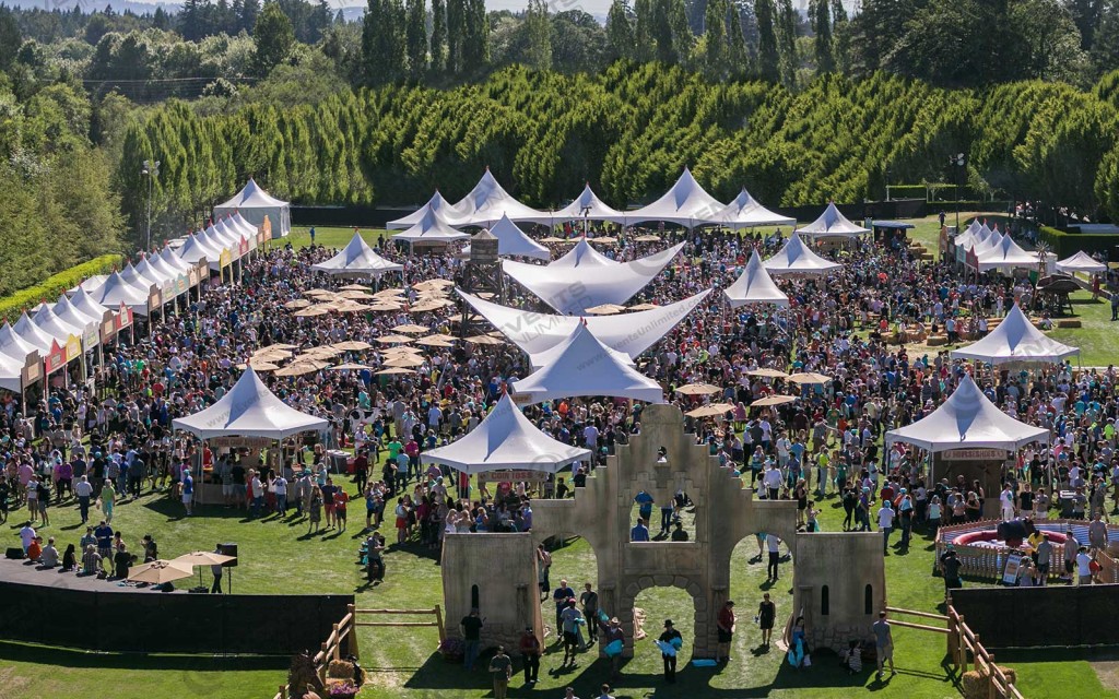 Throw Shade :: Temporary Shade Structures and Solutions for Events.