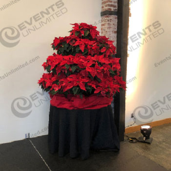 Poinsettia Tree Stand - Events Unlimited